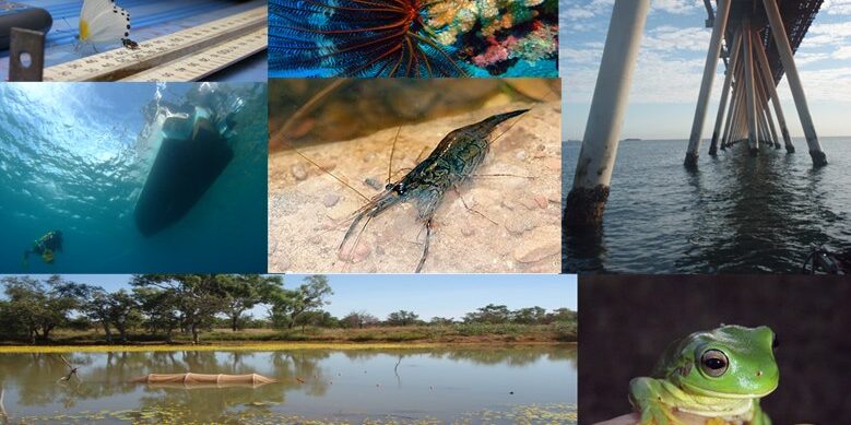 JOIN OUR BRISBANE TEAM! - Aquatic Scientist - Hydrobiology