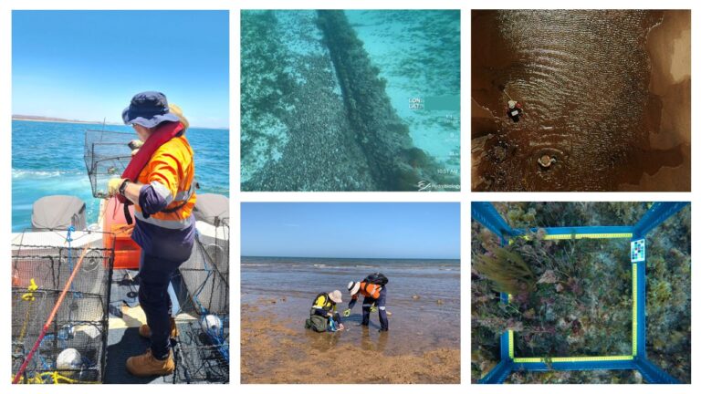 Safeguarding our Marine Ecosystems - Hydrobiology